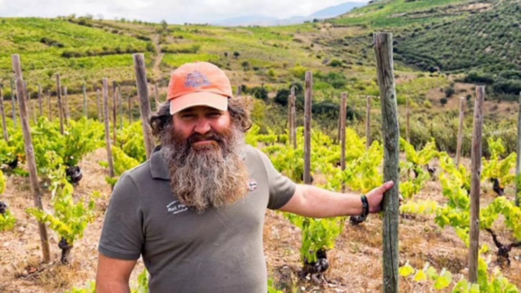 LOS VINOS DEL BIERZO ENTRE LOS MEJORES DEL MUNDO, HASTA QUE SE LOS ...